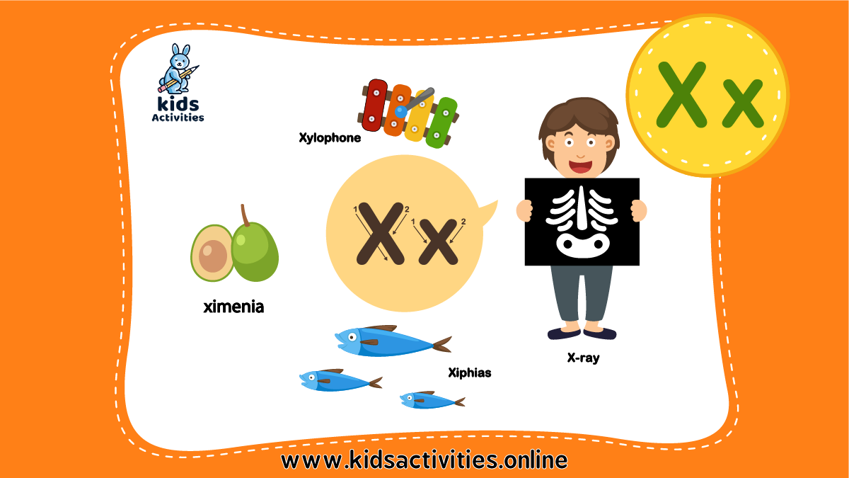 Preschool Words That Start With X x: Flashcards and Worksheets ⋆ Kids ...